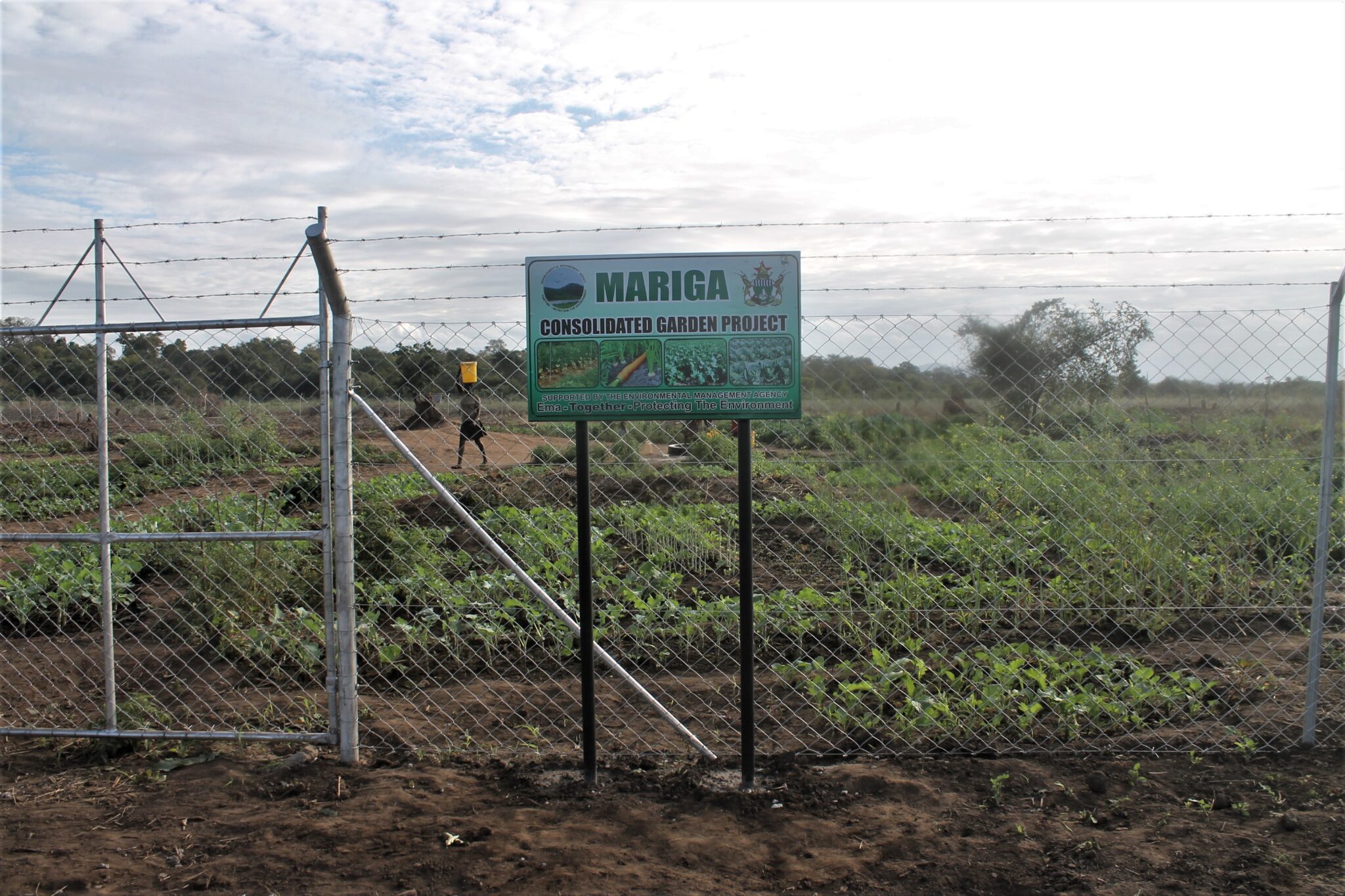 COMING SOON [ema.co.zw]